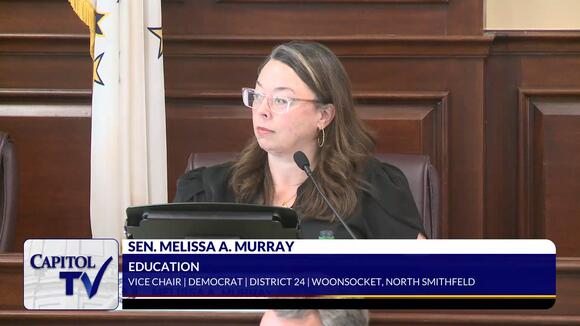 Senate panel advances charter school moratorium despite vocal ...