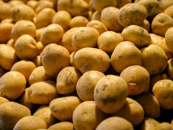 Potato Storage Mistake Quietly Ruining Food in Homes Without Anyone ...