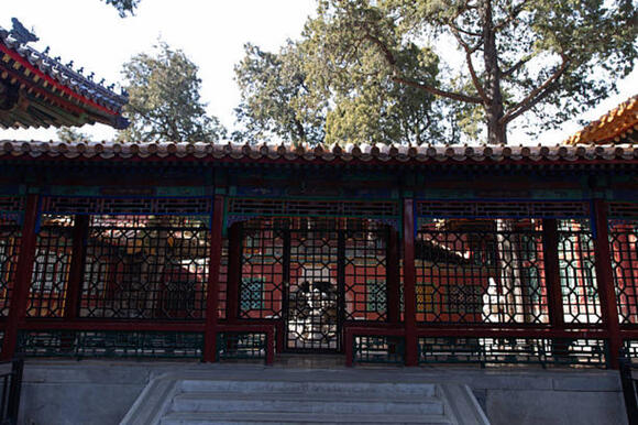 Secret garden in China opens for the first time in 100 years - NewsBreak