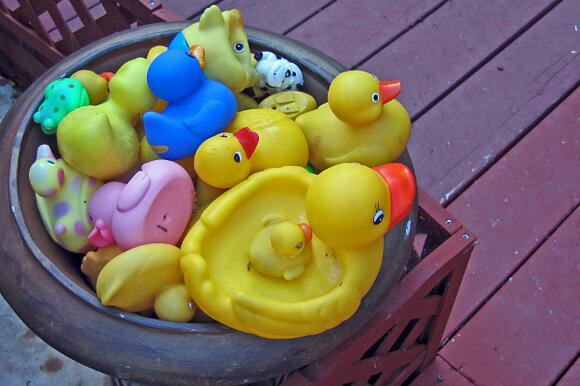 Rubber duck race returns to Morro Bay - NewsBreak