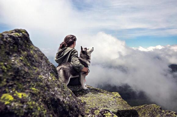 How Each Zodiac Sign Bonds With Their Dog in Later Life - NewsBreak