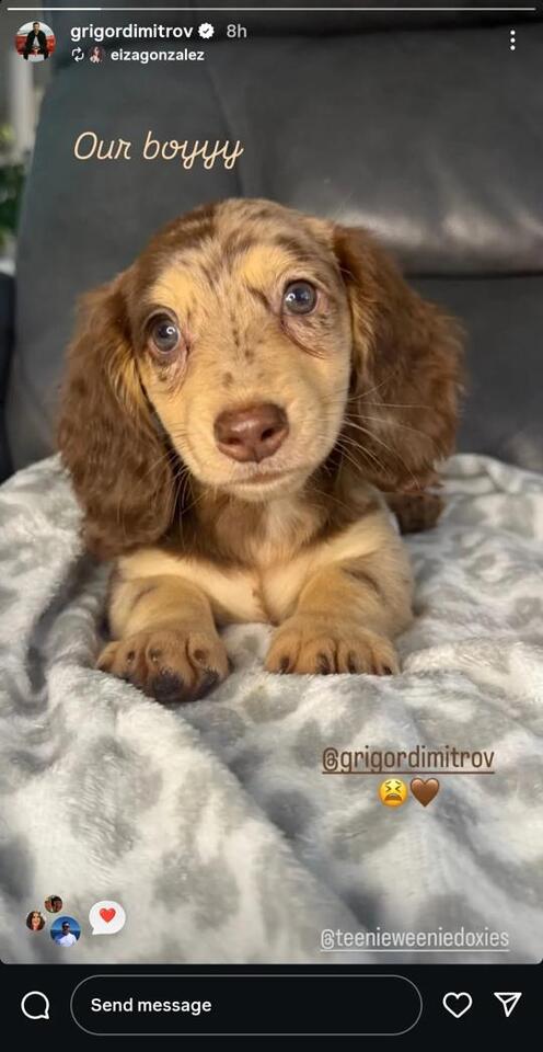 Grigor Dimitrov’s Girlfriend Eiza Gonzalez Makes Feelings Known As He ...