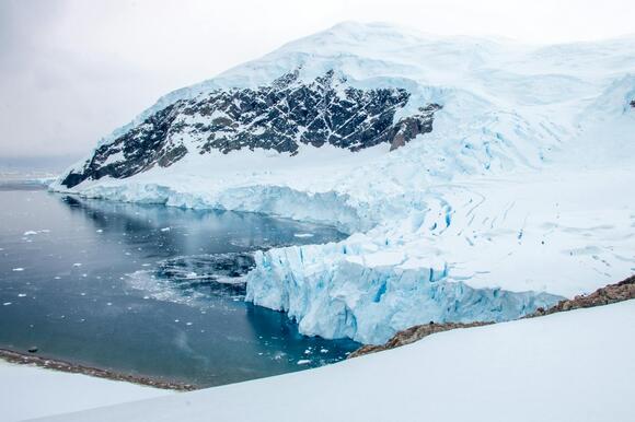 How Changes in Earth’s Climate Directed Dinosaur Evolution - NewsBreak