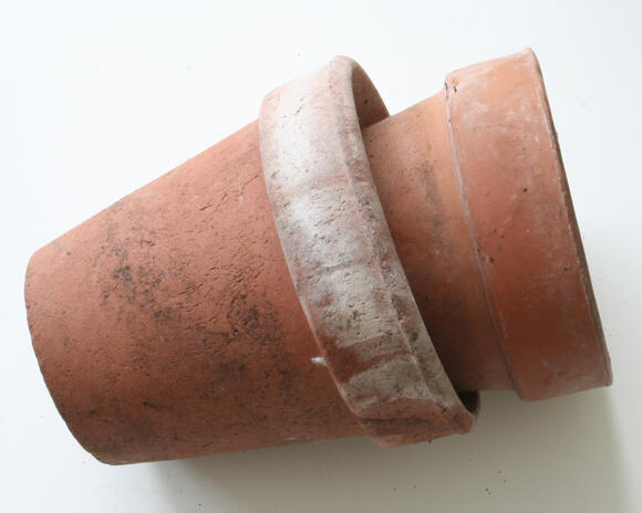 How to Paint Plant Pots For a Gorgeous Garden Upgrade – Here’s ...