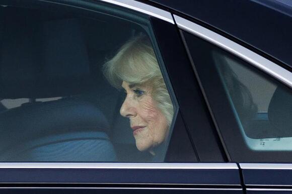 Queen Camilla reveals cause of illness in candid remark to guests ...