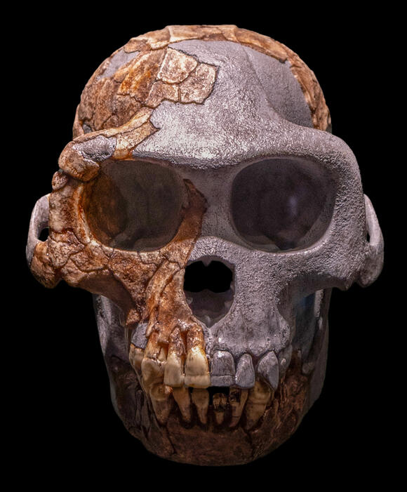 8 Ancient Human Skeletons That Rewrote History Books - NewsBreak