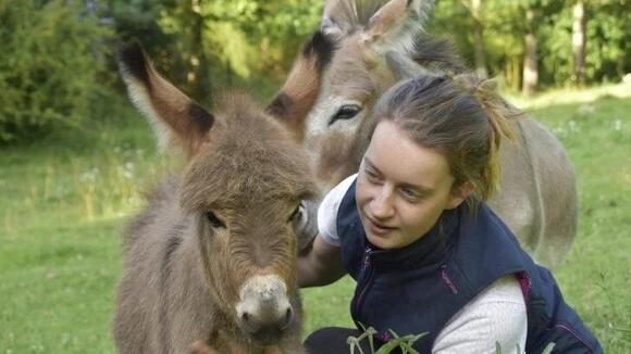 16 Animals That Form a Bond With One Person as Deep as Any Dog – Vets ...