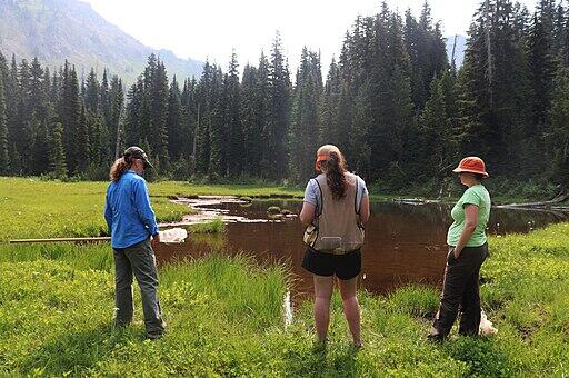 The Role of Citizen Science in Wildlife Discoveries - NewsBreak