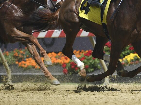 Deborah Cox, Jadakiss and Too $hort announced as special guests for ...