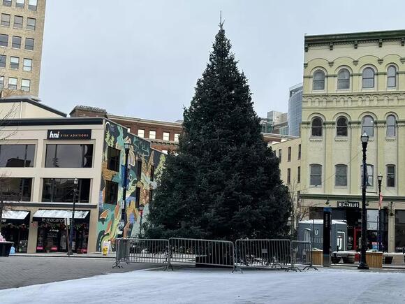 The Michigan Christmas Tree Shines Bright At The White House - NewsBreak