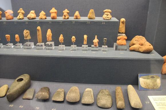 New Evidence Suggests Early Humans Coexisted with Ancient Megafauna in ...