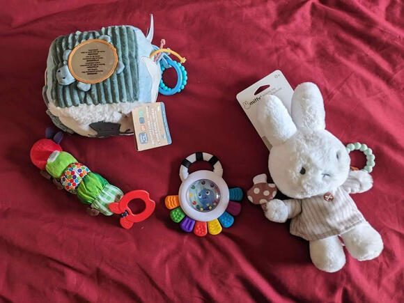 🎁 Freebies Up for Grabs in Berkeley — From Plants to Furniture - NewsBreak