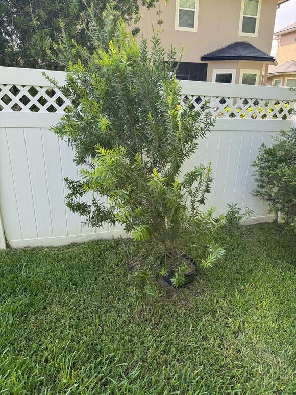🎁 Freebies Up for Grabs in Jacksonville — Furniture, Plants & More ...