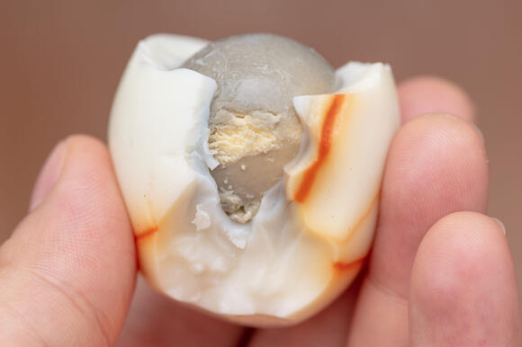 The 20 Most Disgusting Foods in the World - NewsBreak