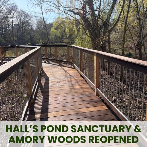 📅 Hall’s Pond Sanctuary Reopens with July 15 Celebration - NewsBreak