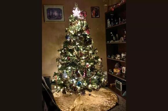 Recycle Your Christmas Tree Without Leaving Town - NewsBreak