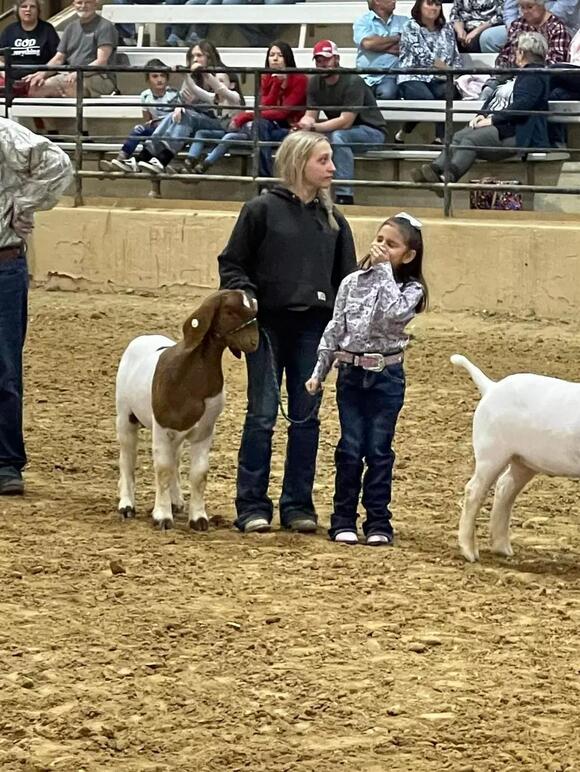 Angelina County Fair Is Underway, Here Are Champions From Day 1 - NewsBreak