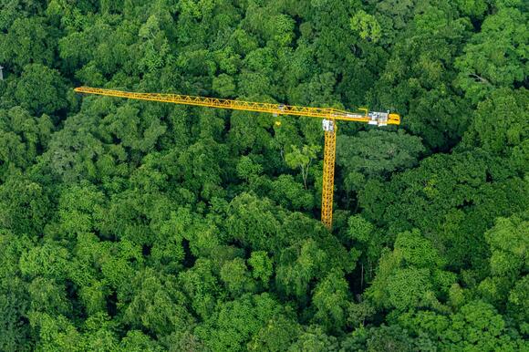 Inside the Smithsonian’s tropical research island in Panama