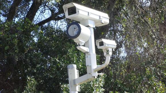 Florida’s $1.2 Billion Red-Light Camera Empire Faces Collapse After ...