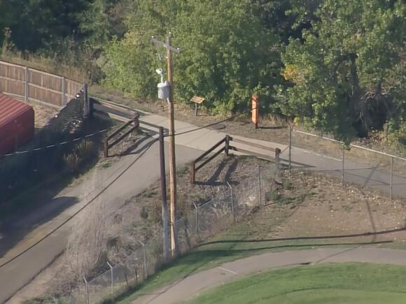 Man allegedly threatening passerby with machete shot, killed by ...