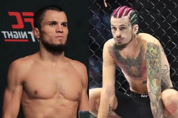 Umar Nurmagomedov at Risk of Title Snub as Sean O’Malley Factor Looms ...