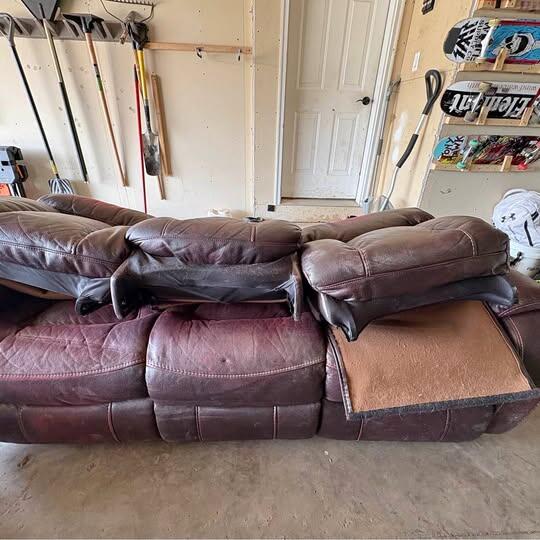 🎁 Freebies Up for Grabs in Fargo — Furniture, Plants & Art - NewsBreak