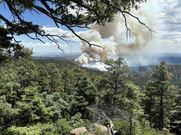 Oak Ridge Fire, burning near Beulah, reaches more than 1K acres, is 0% ...