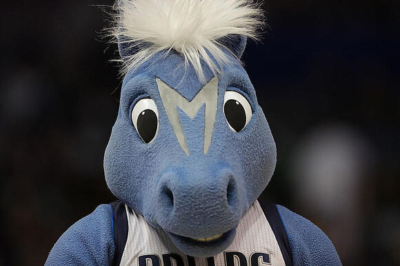 Meet The Iconic Live Animal Mascots Of College Football - NewsBreak