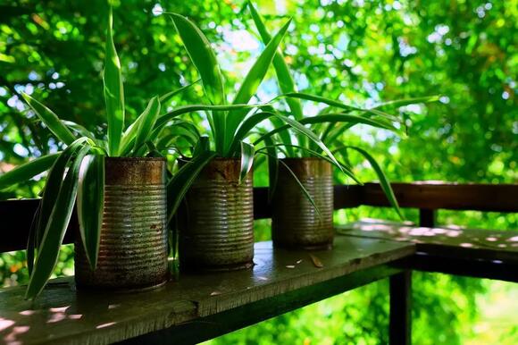 Margate Restaurant With Best Views Has Great Food Too! - NewsBreak