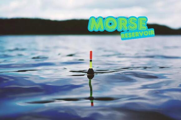 Why Dry Hands Can Be Deadly For Released Fish - NewsBreak