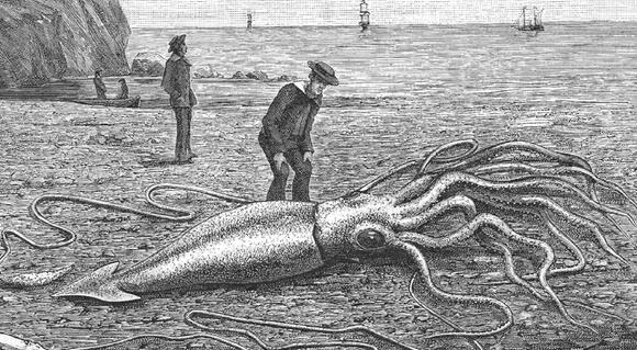 17 Ocean Monsters Sailors Claimed Were Real - NewsBreak