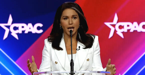 Fox’s Jennifer Griffin Warns Tulsi Gabbard’s Ties to Group Accused of ...