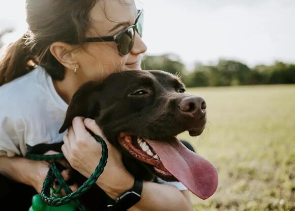 Psychology Says Dogs Feel More Loved Through Presence Than Expensive ...
