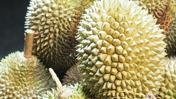 20 Polarizing Global Snacks That Tourists Love to Hate - NewsBreak