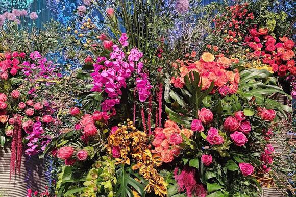Inside the must-see 2026 Philadelphia Flower Show - NewsBreak