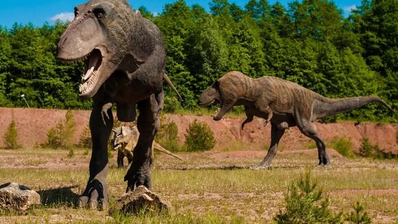 Unearthing the Giants: North America’s Most Imposing Prehistoric ...