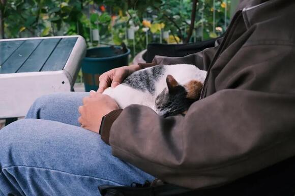 How Can I Tell If My Cat Truly Trusts Me? Signs to Look For - NewsBreak