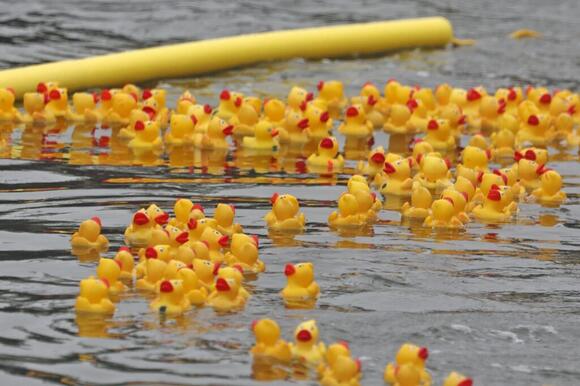 All Saints gets ducks in a row for derby