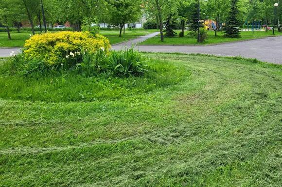 What's New For Binghamton Rumble Ponies' 2026 Baseball Season? - NewsBreak