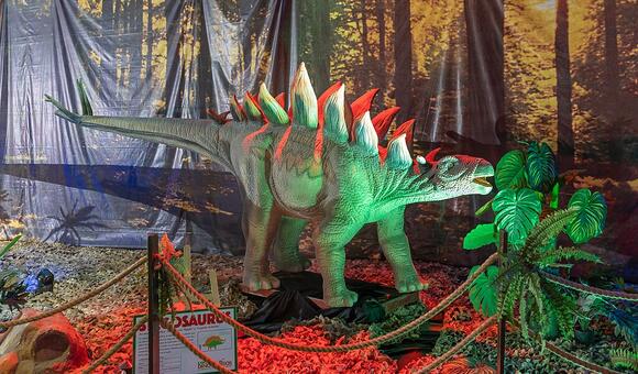 How Herbivores Navigated a World Full of Predators - NewsBreak