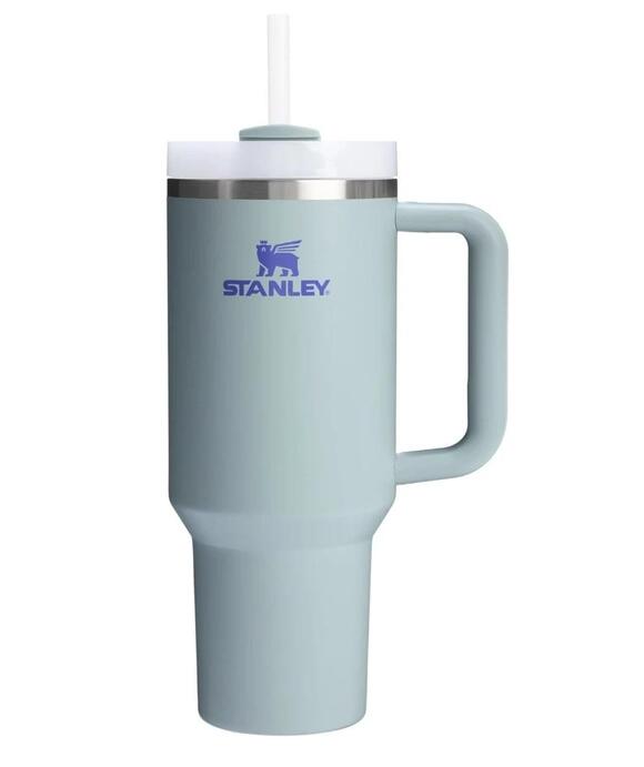 Florida Woman Arrested For Stealing Stanley Cup To Store Her Breast ...