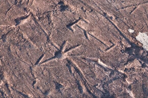 Nearly 5,000 Ancient Rock Carvings Open for 2026 Season in Southwest ...