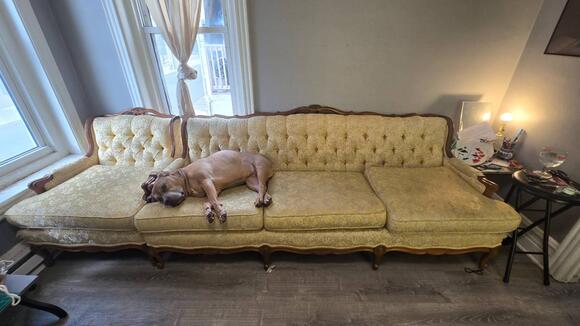 🎁 Freebies Up for Grabs in Allentown Right Now - NewsBreak