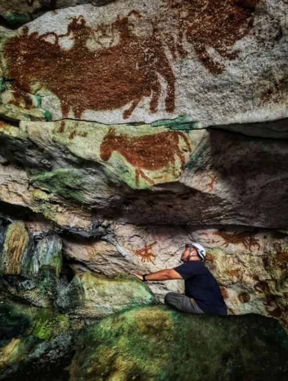 World's oldest cave art dating back 67,800 years found in unexpected ...