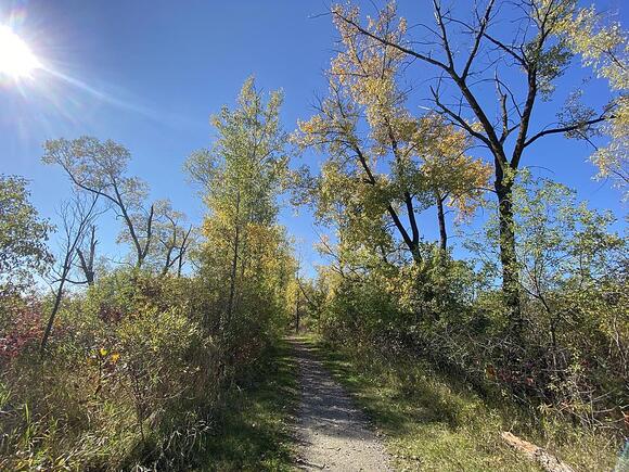 California Man Running Across The US, Is Now Running Through MN - NewsBreak