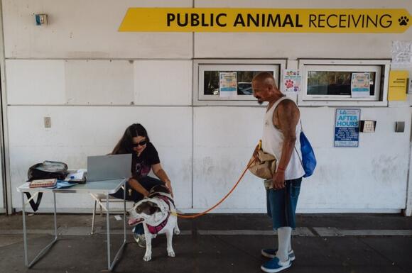 Keeping people with their pets can help L.A.’s housing crisis — and ...