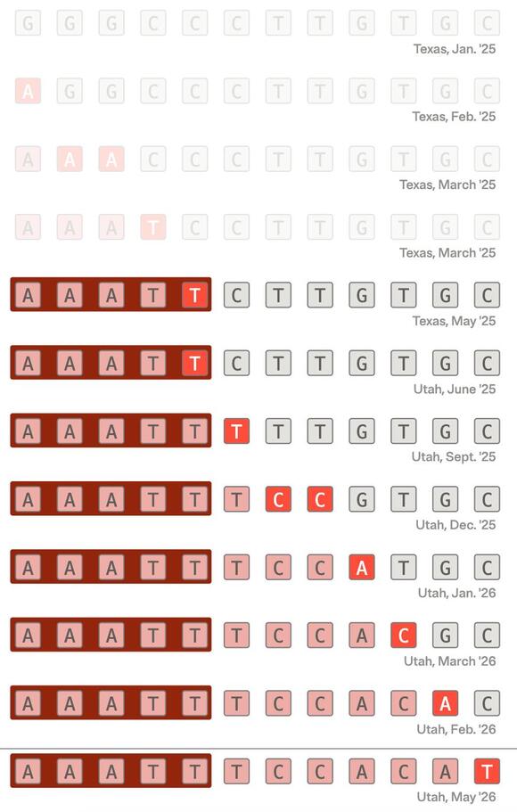 What ProPublica Found in the Genetic Code of America’s Measles ...