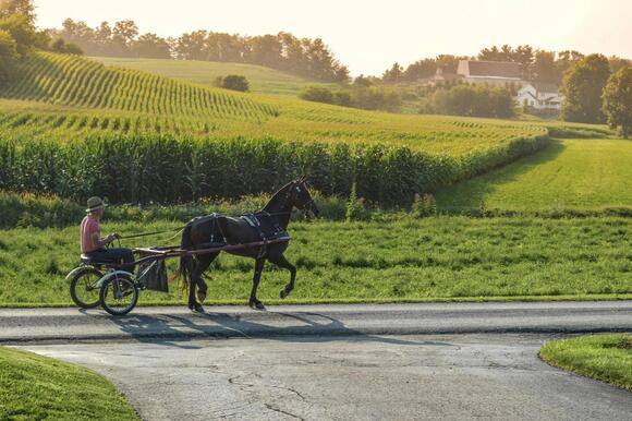 11 Popular Misconceptions About Amish Life in Michigan - NewsBreak