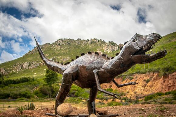 How Did Stegosaurus Use Its Spikes Defense or Display - NewsBreak