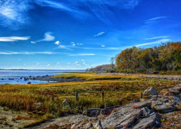 Oregon Ballot Pushes Radical Animal Rights - NewsBreak